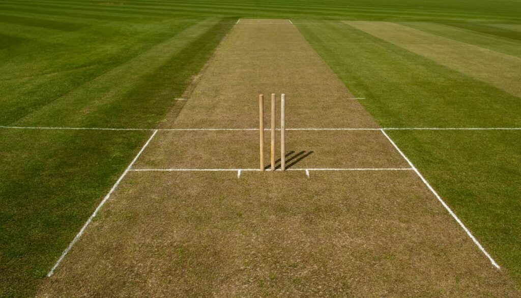 How Many Creases Are There in Cricket? A Clear Breakdown